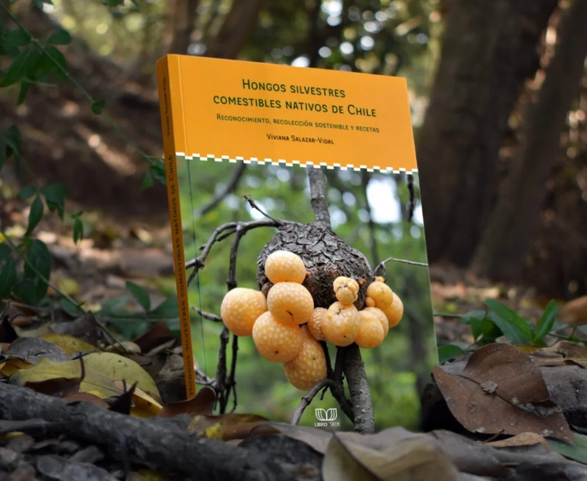 ¡Aprender sobre los hongos comestibles nunca fue tan versátil! Este libro de Viviana Salazar ...