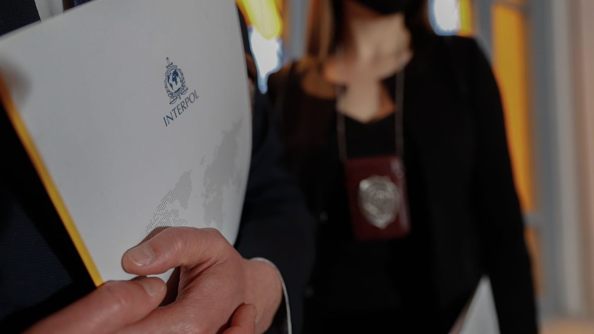 DETECTIVES DE INTERPOL DETIENEN A ITALIANO QUE ERA REQUERIDO POR ...