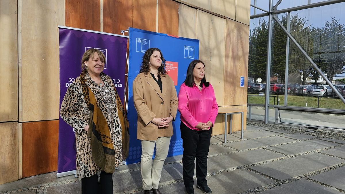 SEREMIS DE LA MUJER Y DE SALUD REALIZAN BALANCE A 6 AÑOS DE LA ...