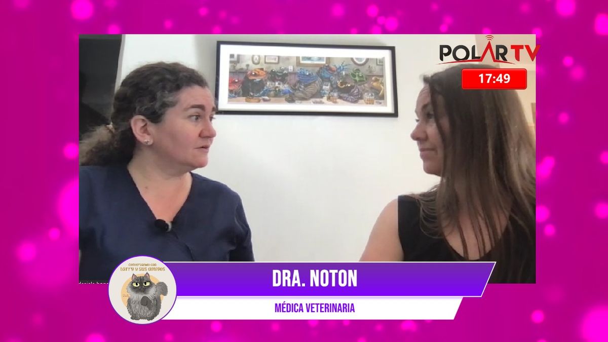 DRA. NOTON ENTREGA DETALLES SOBRE EL CUIDADO DE ANIMALES EXÓTICOS EN ...