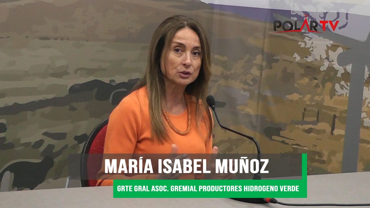 MARÍA ISABEL MUÑOZ ANTONIN, DE H2V MAGALLANES, ABORDA EL IMPACTO Y ...