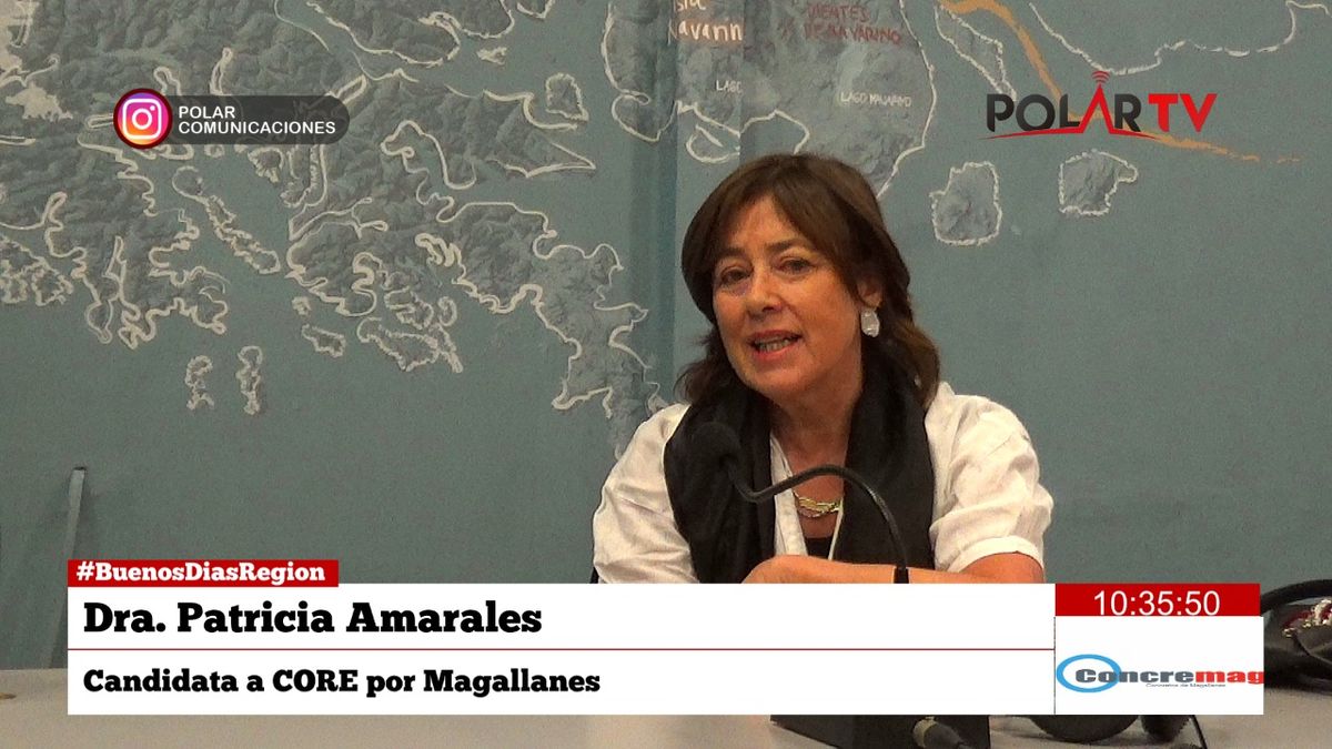 CANDIDATA A CORE DRA. PATRICIA AMARALES DESTACA EL POTENCIAL PORTUARIO ...