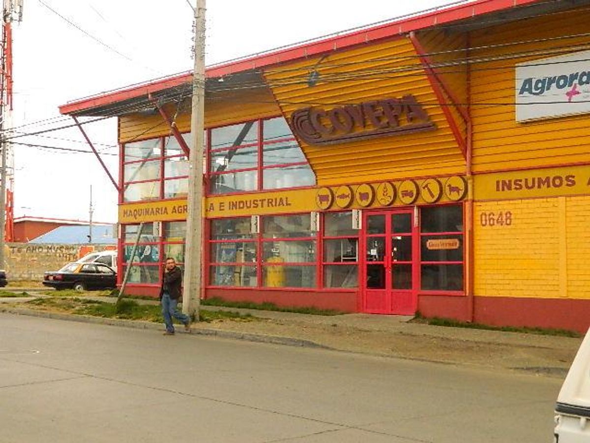 COVEPA: CONSEJOS PARA CUIDAR EL PASTO EN VERANO