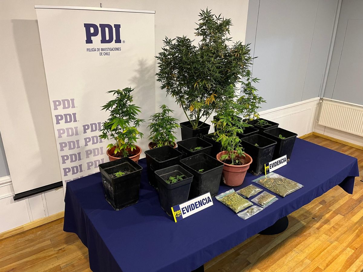 PDI PUNTA ARENAS DETUVO A UN HOMBRE POR INFRACCIÓN A LA LEY DE DROGAS