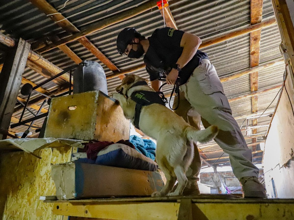 PDI ABRE NUEVO PROCESO PARA AGENTES POLICIALES