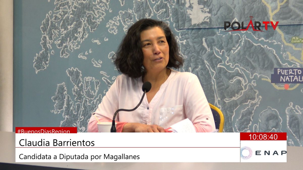 CANDIDATA A DIPUTADA CLAUDIA BARRIENTOS SÁNCHEZ: “LOS PROGRAMAS ...