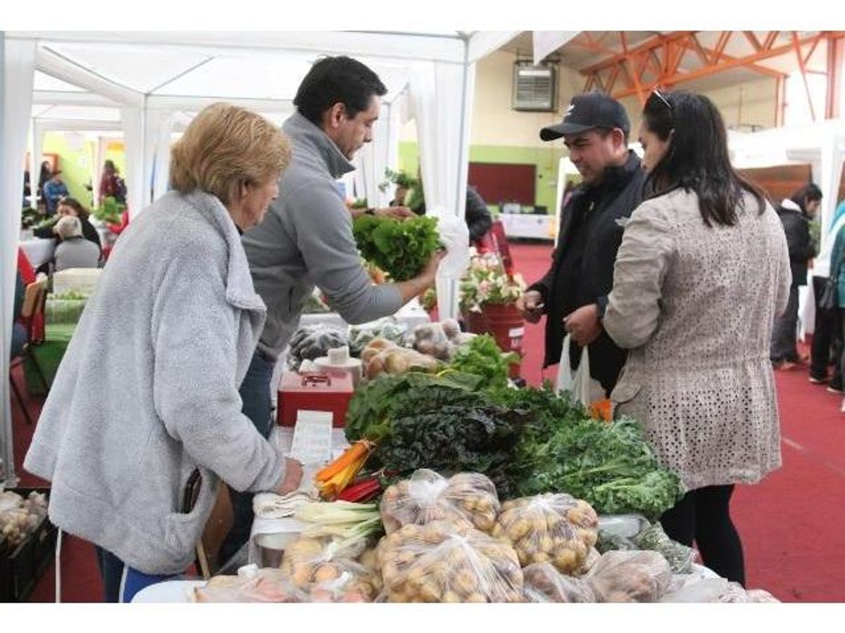ÚLTIMA FERIA SALUDABLE DE LA TEMPORADA CONVOCÓ A UN MILLAR DE PERSONAS