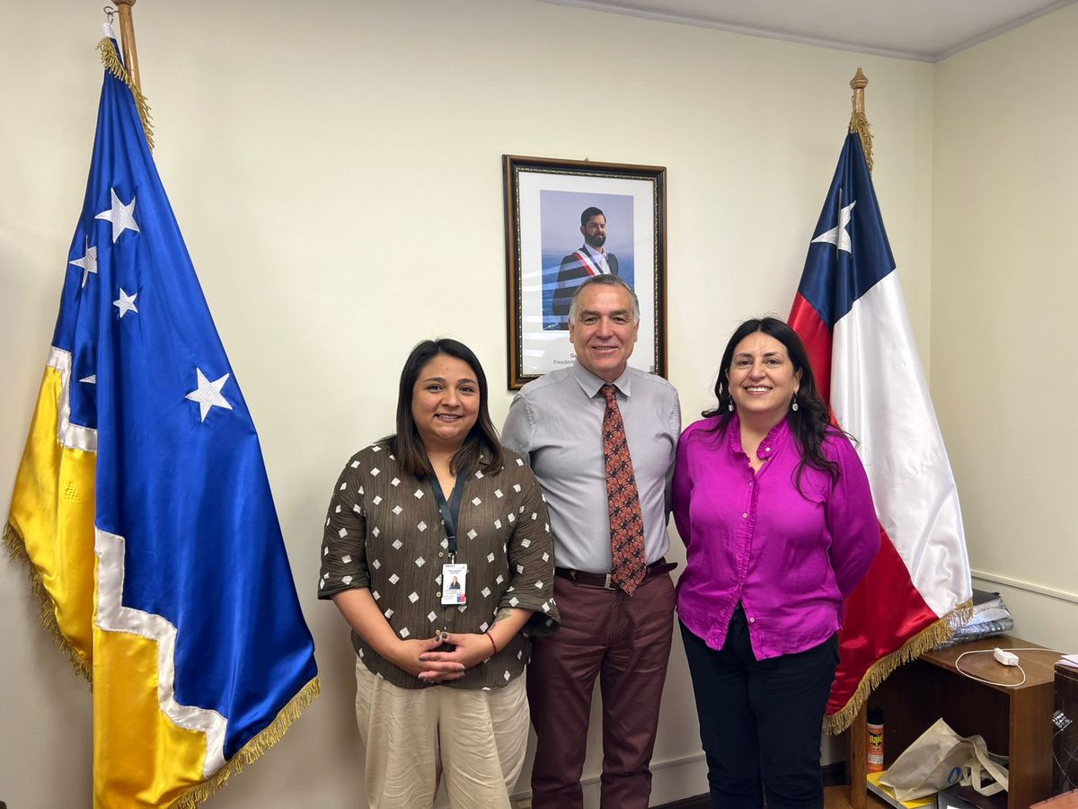 SEREMI DE LA MUJER JUNTO A SERNAMEG PRESENTAN CAMPAÑA “NO LA HAGAS VIRAL” EN PORVENIR CON ...