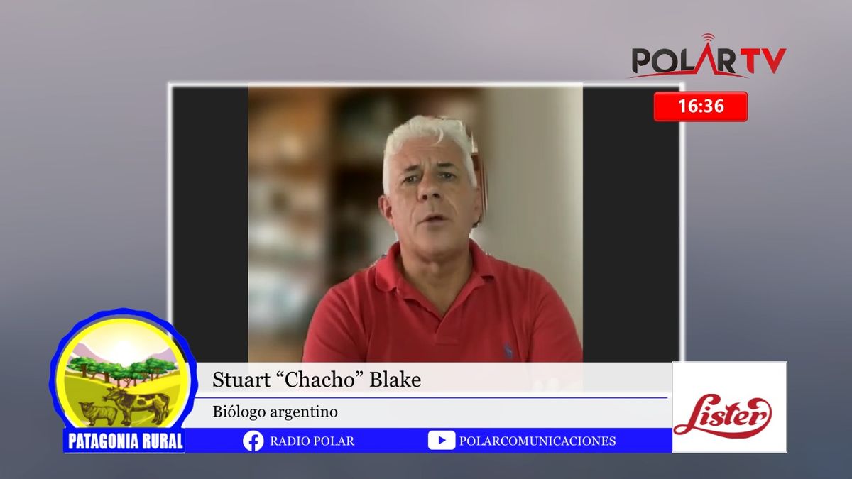 BIÓLOGO ARGENTINO STUART BLAKE PREOCUPADO POR UNA POSIBLE ...